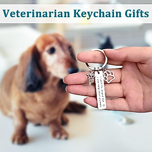 Lifecapido Vet Tech Gifts, Veterinarian Gifts, Saving Animals Is Kinda My Thing 30oz Tumbler with Veterinarian Keychain, Vet Tech Week Gifts Christmas Gifts for Veterinarian Technologists, Black
