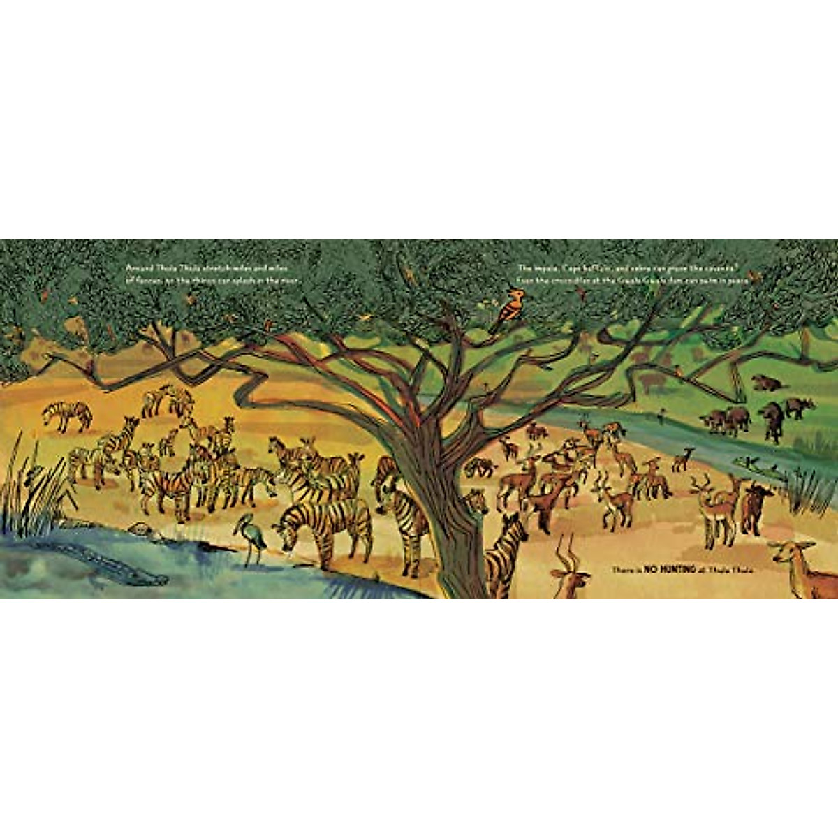 The Elephants Come Home: A True Story of Seven Elephants, Two People, and One Extraordinary Friendship