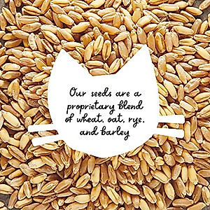 The Cat Ladies 100% Organic Cat Grass Seed (Non GMO)