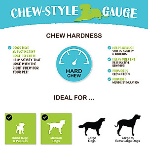 Raw Paws Smoked Beef Marrow Bones for Dogs, 3-inch, 8-ct - Packed in USA - Beef Bones for Dogs - Grass Fed Bone Marrow Treats for Dogs - Dog Chew Bones for Aggressive Chewers - Dog Marrow Bone Treats