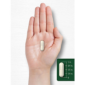 Carlyle Royal Jelly Capsule | 2500mg | 120 count | Non-GMO and Gluten Free Formula | Traditional Supplement