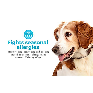 Pet Chef Respiratory Immune + Dog Allergy Remedy. Dog Itch Relief-Dog Allergy Relief-Anti Itching for Dogs-Dog Hot Spots-Eliminates Dog Skin Rashes - Prevents Dog Immune Health Crisis from other dogs.