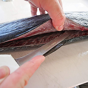 Dexter Outdoors 24904 Knife, 8-inch