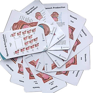 Blue Tree Publishing Speech articulation Anatomy Pocket Charts