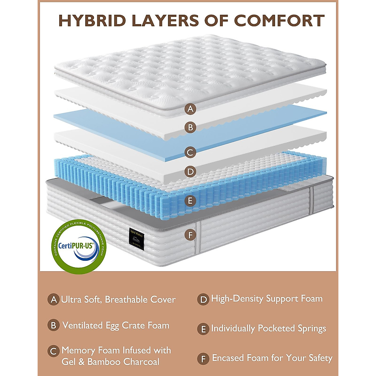 BedStory Queen Mattress - 14 Inch Plush Hybrid Mattress in a Box - Soft Memory Foam and Individual Pocket Springs for Pressure Relief and Motion Isolation, CertiPUR-US