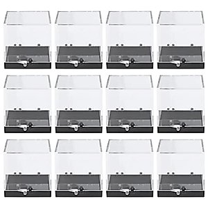 Cabilock Clear Specimen Display Cases 12pcs Plastic Mineral Specimen Storage Cases Square Sample Displaying Boxes Jewelry Organizer Tray