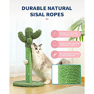 Made4Pets Cat Scratching Post, Cactus Cat Scratcher Kitten Scratching Post with Natural Sisal Rope for Indoor Cats Claw Scratcher, Vertical Green Cat Tree with Dangling Balls for Small Cats Kittens