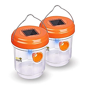 BEE COLINE Wasp Trap Outdoor Hanging - Solar Powered Bee Trap Outdoor - Wasp Killer for Wasps, Hornets, Fruit Flies, and Insects - Effective Insect Trap - Bee Killer and Yellow Jacket Trap Pack of 2