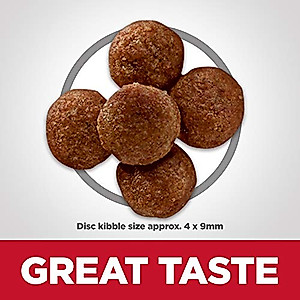 Hill's Science Diet Adult Dry Dog Food, Small Bites, Perfect Digestion, Chicken Recipe, 3.5 lb. Bag