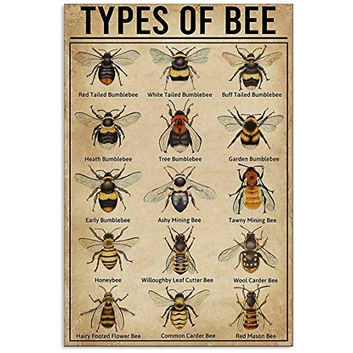 Types of Bee Retro Nostalgic Art Print Poster Tin Sign Cafe Bar Metal Sign Garage Plaque 8x12 Inches
