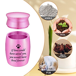 3 Inches Small Keepsake Urn for Pet Dog Ashes Aluminum Mini Cremation Urns for Dog Cat Memorial Ashes Urn for Sharing Fur Friend Ashes