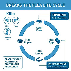 Amazon Basics Flea and Tick Topical Treatment for Medium Dogs (23-44 pounds), 6 Count (Previously Solimo)