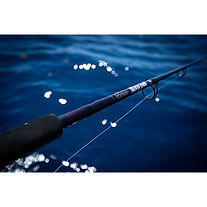 St. Croix Rods Mojo Salt Spinning Rod, Black Cherry Metallic, 7'6"