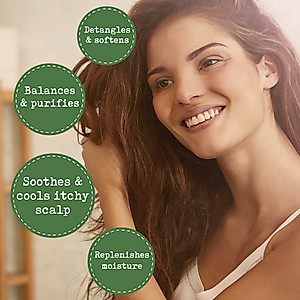 PHARM TO TABLE Scalp Relief Tea Tree Leave-In Conditioner, Relieve Itchy, Dry Scalp, Detangles Hair, 240ml/8 fl oz, 3-Pack