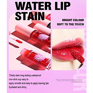 Easilydays Lip & Cheek Stain, 2 In 1 Blusher & Lip Water Tint Makeup, Matte Velvet Watery Tint Lip Gloss, Waterproof Long Lasting Lip Stains, Vivid Color Lip Stain Moisturizing Lightweight Lip Glaze for Women Pink Makeup (#01)