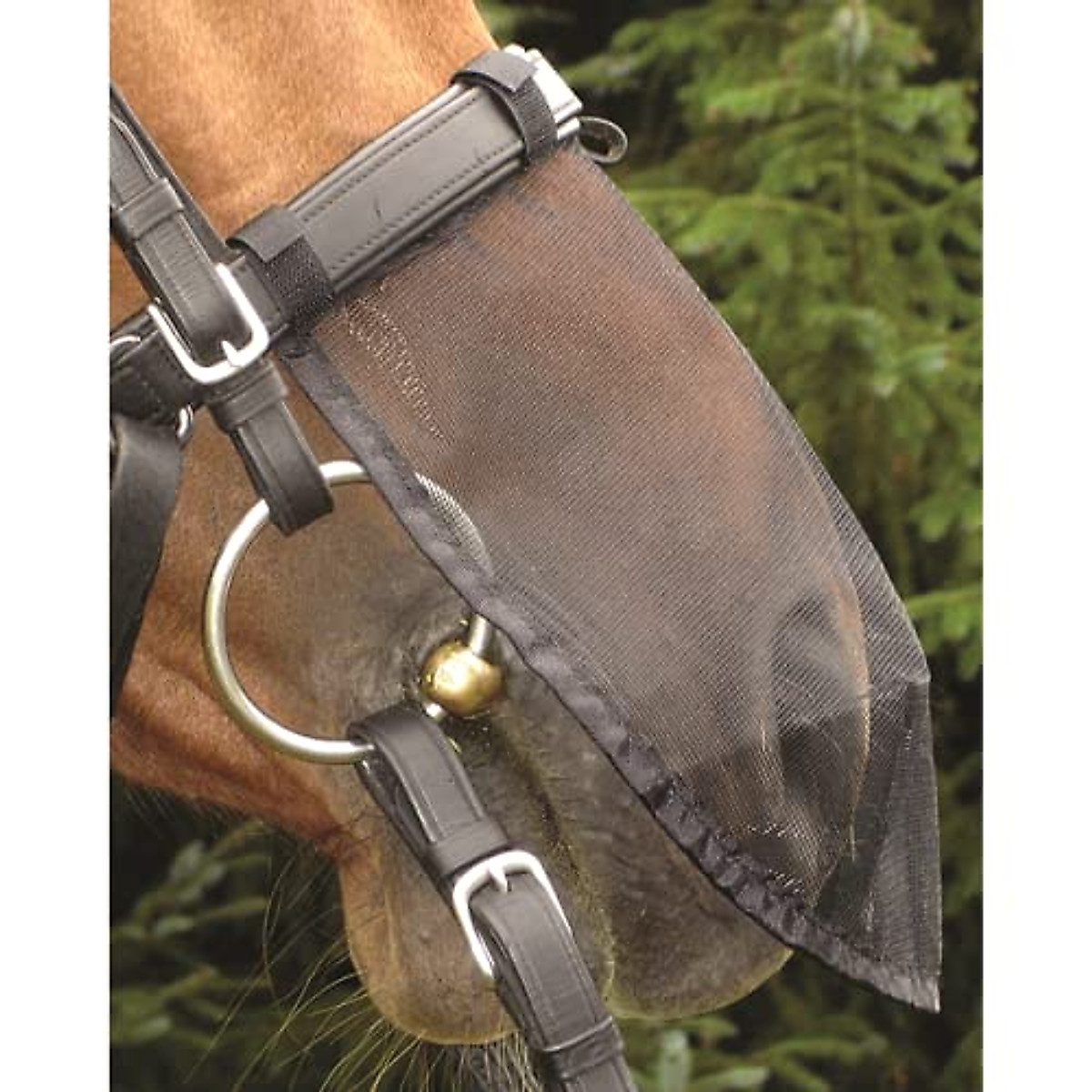 Cashel Quiet Ride Horse Fly Nose Net, Medium