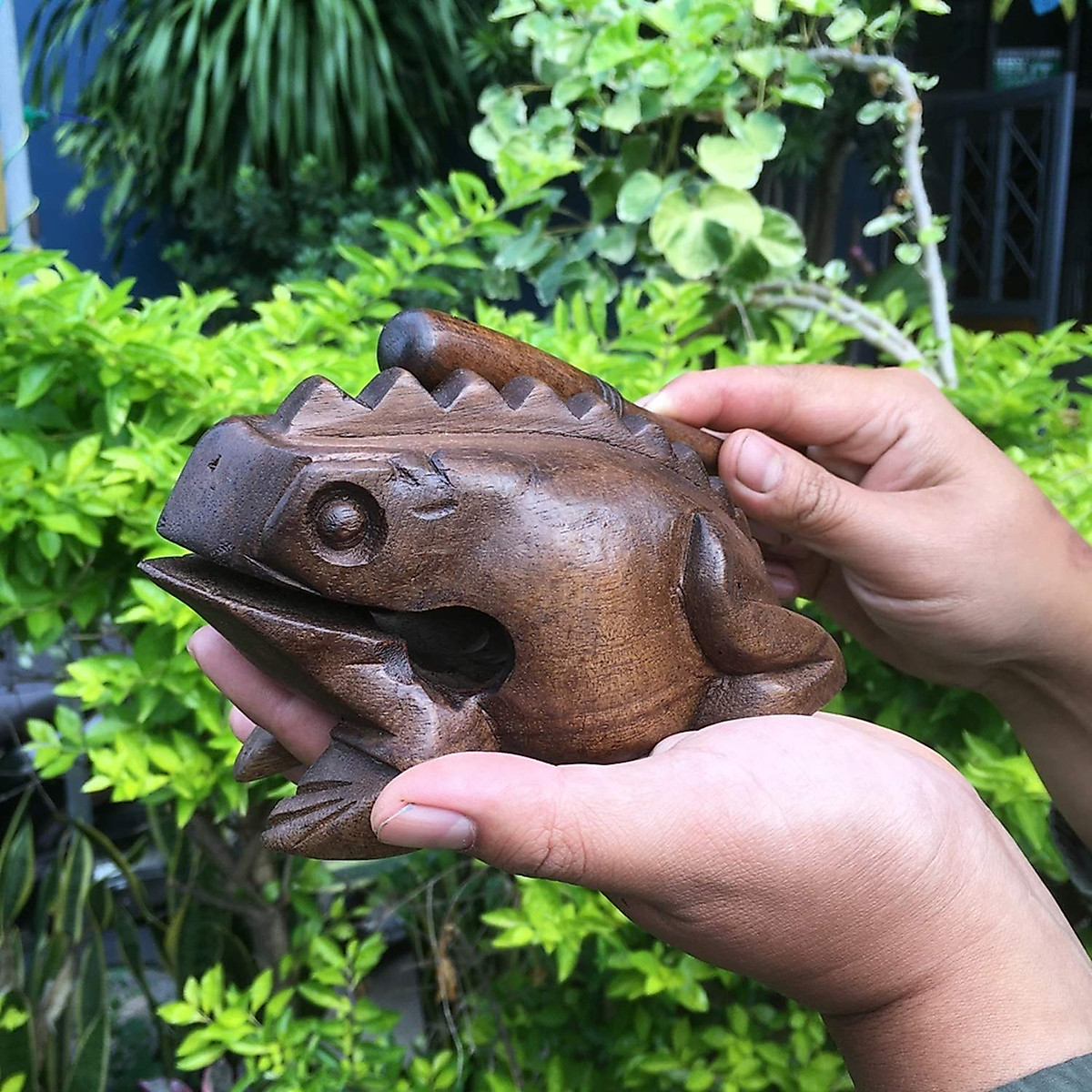 Cozinest Medium 6" Wood Frog Guiro Rasp Percussion Musical Instrument Tone Block Wooden Handcraft Percussion Instruments Products From Thailand Lucky Frog for Home Office Decor (Brown)