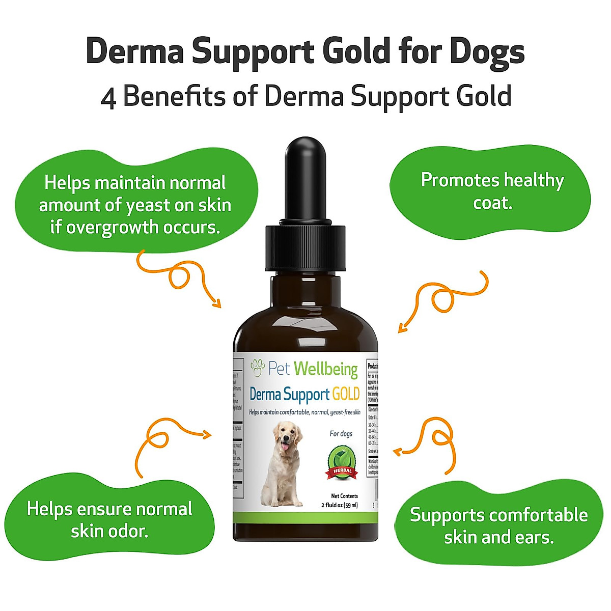 Pet Wellbeing Derma Support Gold for Dogs - Normal Skin Yeast Balance, Occasional Itching, Healthy Odor, Baikal Skullcap, Phellodendron - Veterinarian-Formulated Herbal Supplement 2 oz (59 ml)