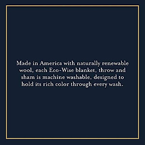 Pendleton, Eco-Wise Washable Wool Blanket, Irving Stripe Taupe, Queen