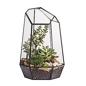 NCYP Geometric Glass Terrarium Planter for Air Plants Succulents (6.5x5.7x9.8Inches) Indoor Irregular Opened Glass Flower Pot, Home Garden Office Tabletop Decoration Container (No Plants, No Door)