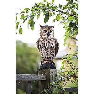 VA Resin Garden Owl Statue, Fake Owl, Fake Statue, Fake Owls, Garden Owl, Owl Décor, Realistic Owl, Owl Yard Décor, Owl.