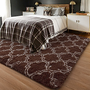 HOMORE Luxury Bedroom Rug, 4x6 Feet Area Rug for Living Room, Modern Fluffy Rugs, Soft and Comfy Rug for Kids Nusery Dorm and Home Office, Brown/Beige