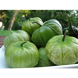 100+ Tomatillo Verde Seeds- Heirloom Variety-"Green Tomato","Ground Cherry"