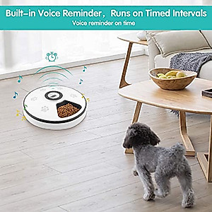 Chintu Automatic Cat Feeder, Auto Cat Food Dispenser - 6 Meals Pet Wet Food Dispenser for Small Dog with Programmable Timer Portion Control Timed Cat Feeder with Voice Reminder