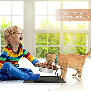 Aivituvin Elevated cat Bowls, 15°Tilted Raised Cat Food Bowl, Walnut Wood Water Stand Feeder Set for Cats and Puppy, Cat Bowl Stand with Anti Slip Mat(Small)