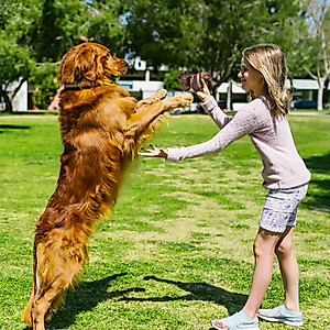 Dog Toys for Aggressive Chewers, Indestructible Dog Toys for Large Dogs, Bacon Flavored Dog Toys to Keep Them Busy, Tough Dog Bones for Medium/Large Dogs Breed