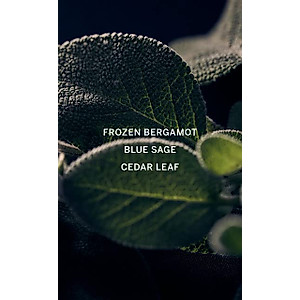 Victoria's Secret VS Him Deepwater 1.7oz Eau de Parfum