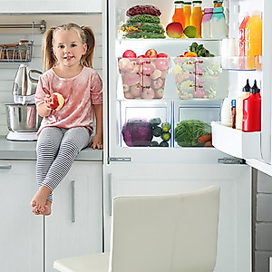 Fonteme Polypropylene Square Food Storage Container - 6 Qt | Translucent Plastic Food Container with Red Lid & Easy-to-Read Measurements | BPA-Free and Dishwasher Safe | Keeps Food Fresh and Safe