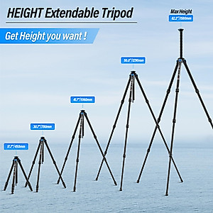 SIRUI AM-124 Carbon Fiber Tripod with Triangular Center Column, 62.6" Compact TravelTripod for Camera, 4 Sections, Waterproof Twist Lock, Load 26.5lbs