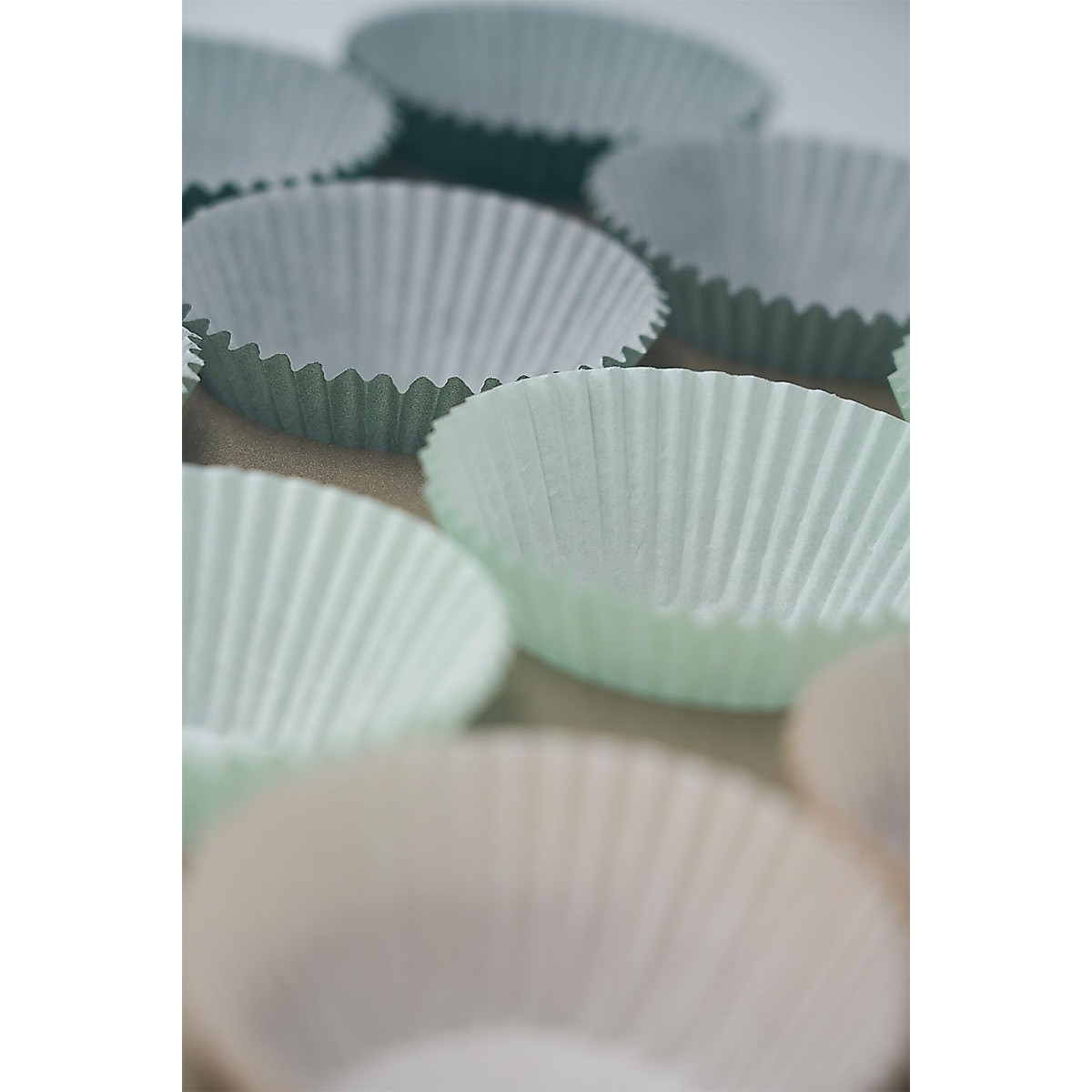 Bake Choice Cupcake Liners 200 Pcs Paper Muffin Cups Standard Cupcake Wrappers, Cup Cake Paper Cup, Food Grade Paper Cupcake Liners, Greaseproof Parchment Muffin Liners Calyx Series