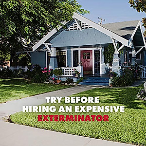 Raid Max Perimeter Protection, 30 Oz Bottle