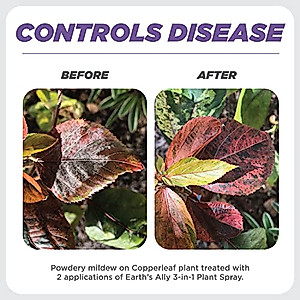 Earth's Ally 3-in-1 Plant Spray Concentrate | Insecticide, Fungicide & Spider Mite Control, for Indoor Houseplants & Outdoor Plants & Gardens - Insect, Pest & Antifungal Treatment, 32oz Concentrate