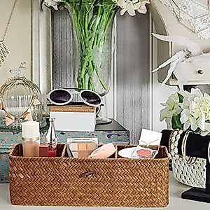 2 Pieces Seagrass Baskets with Lid, Rectangular Hand Woven Wicker Bin Storage Box for Shelves Organizing, Small Rustic Home Storage Organizer Container for Toilet Paper Snack Toys (Khaki)