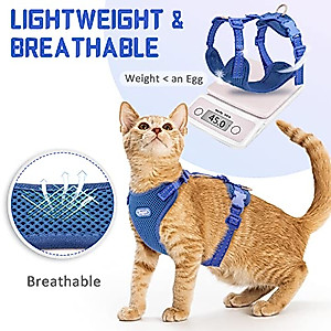 Supet Cat Harness and Leash for Walking Escape Proof, Adjustable Harness for Cats, Easy Control Small Cat Harness for Medium Large Kitten and Dogs