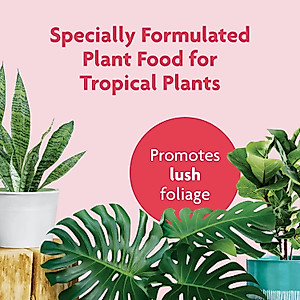 Miracle-Gro Tropical Houseplant Food - Liquid Fertilizer for Tropical Houseplants, 8 fl. oz., 2-Pack