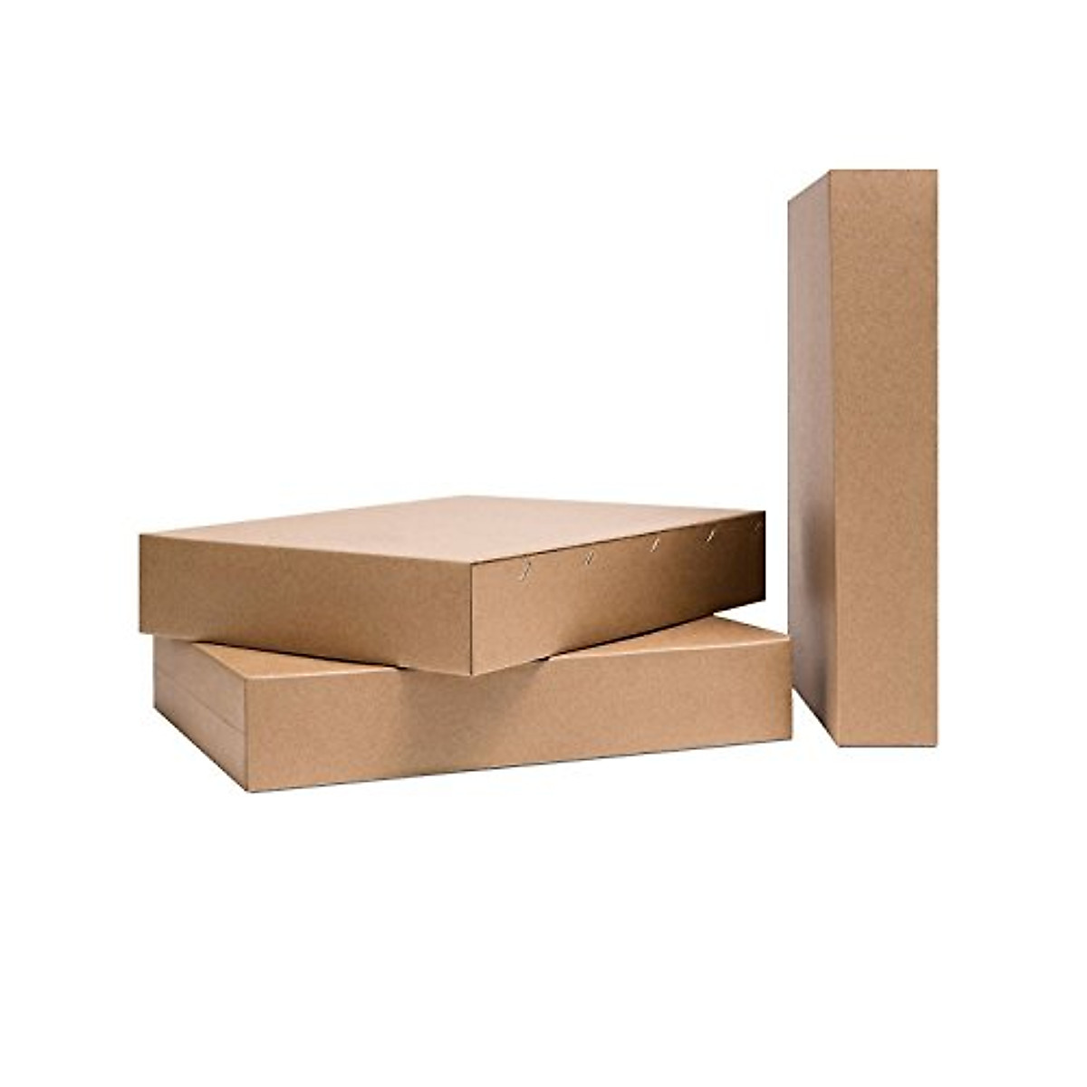 TutuBeer 1 Panel Bauhinia Chinese Redbud Purple Flower Plant Botany Picture Flower Artwork Oil Painting on Canvas Stretched and Framed 24x36 inch Print Home Decor Living Room Bedroom Wall Art Hanging