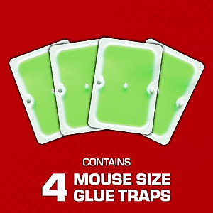 Tomcat Super Hold Glue Traps Mouse Size for Mice, Cockroaches, Spiders, and Scorpions, Ready-To-Use, 4 Traps