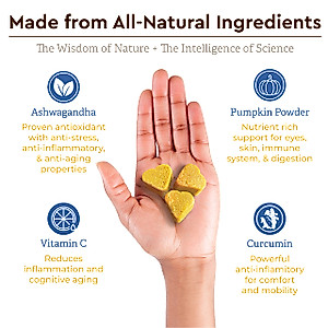 Super Multi-Vitamin Chew with Ashwagandha. Multivitamin for Joint, Skin, Gut, Brain, Bone, Heart & Immune Health - All Natural Ashwagandha, Curcumin, Pumpkin Powder & Vitamin C (90 Chews).