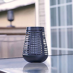 PIC Portable Solar Insect Killer Torch (FLPT), Bug Zapper and Flame Accent Light, Kills Bugs on Contact
