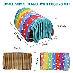 HOMEYA Guinea Pig Hideout Kit,Pet Hideout Play Tube Hideaway Bedding+Small Animal Bunkbed Hammock,Funny Toys and Cage Accessories for Ferret Rat Hamster Squirrel Chinchilla Sugar Glider-Rainbow