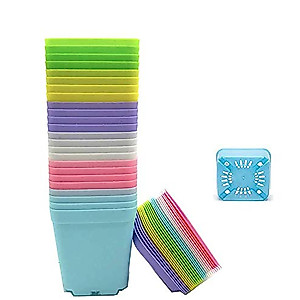 Anyumocz 24 Pack 3inch Multi Color Square Plastic Plant Pots,Seedling Nursery Transplanting Planter Container Indoor Outdoor for Your Room,Garden Office and Balcony Decor