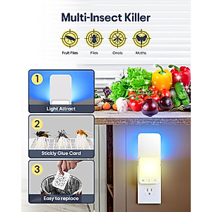 Fruit Fly Traps for Indoors, 2 in 1 Plug in Bug Catcher Indoor Flying Insect Trap with Warm LED Night Light and UV Attractant, Fly Traps Indoor for Home Fruit Fly Killer (1 Device + 6 Glue Cards)