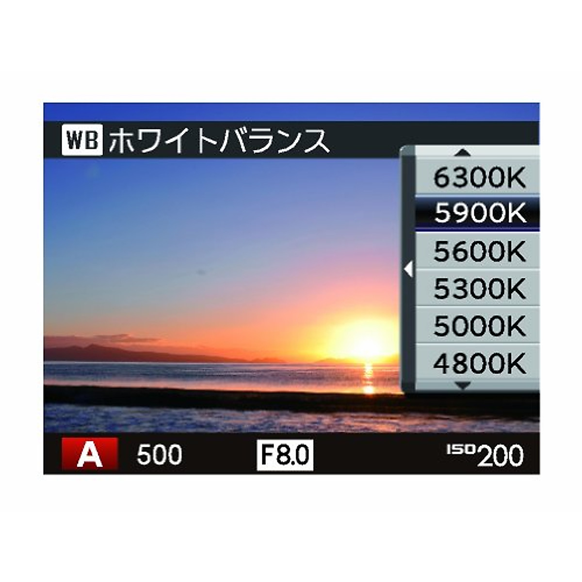 FUJIFILM FinePix X100 APS-C CMOS EXR Digital Camera with 23mm Fujinon Lens and 2.8-Inch LCD - International Version (No Warranty)