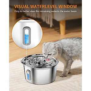 Cat Water Fountain,3.2L/108oz Cat Fountain with Water Level Window,Stainless Steel Pet Water Drinking Fountain for Cats Inside,Quiet Pump for Dogs and Cats(with Water Level Window)