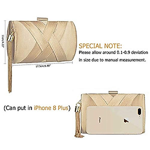 LIFEWISH Tassel Evening Bags Clutch Purses for Women for Wedding Prom Night out Party