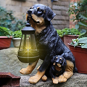JeeKoudy Outdoor Statue with Solar Lights, Rottweiler Dog Garden Statues with Solar Lantern Home Garden Decoration Windproof Lamp Outdoor Lighting Decor